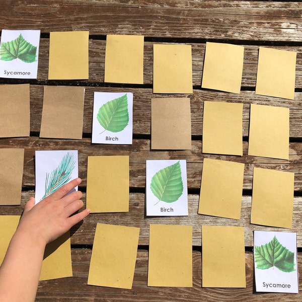 North American Desert Biome Printables - Digital Download - Exploring ...