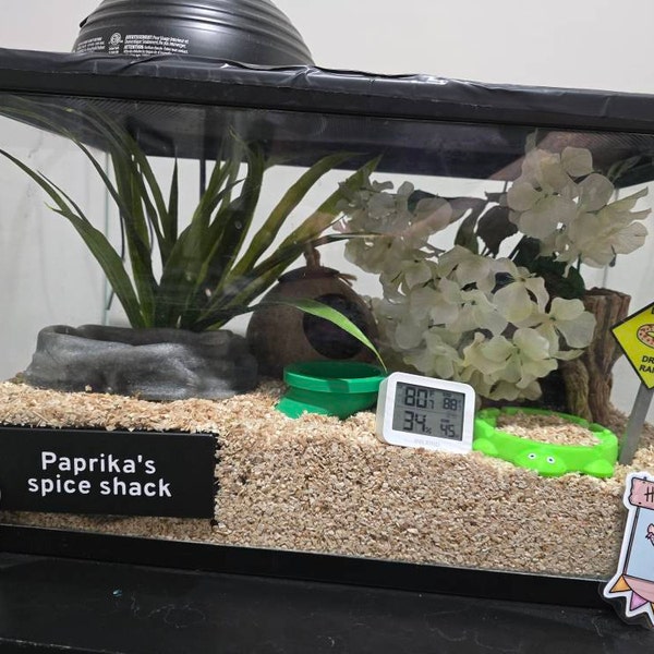 Cute Snake Warning Sign With Post, Vivarium Decoration for Hognose ...