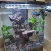 75+ Gallon Aquascape Decor SOUL CANYON Aquarium Dragon Rocks Nature for ...