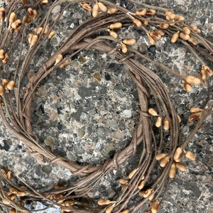 20 Count Light String / Strand / Set Brown Cord Clear - Etsy