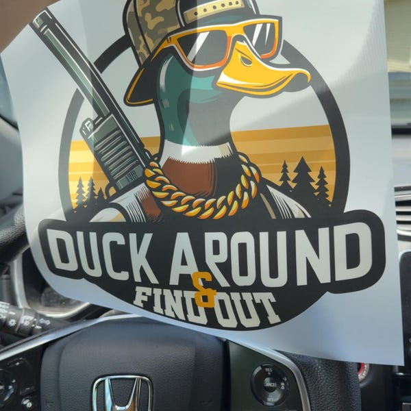 Sarcastic Chicken DTF Transfer, Funny Farm Life Print, Playful Attitude ...