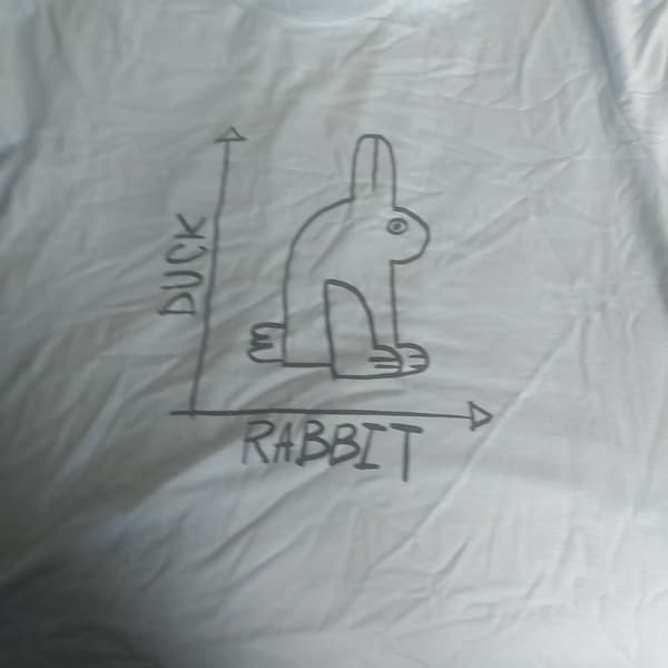 Mens Funny T-shirt Rabbit Duck Design Regular Fit 100% Cotton Tee - Etsy UK