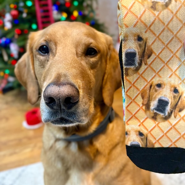 Customized Dog Socks - Put Your Cute Dog on Custom Socks, Dog Lovers ...