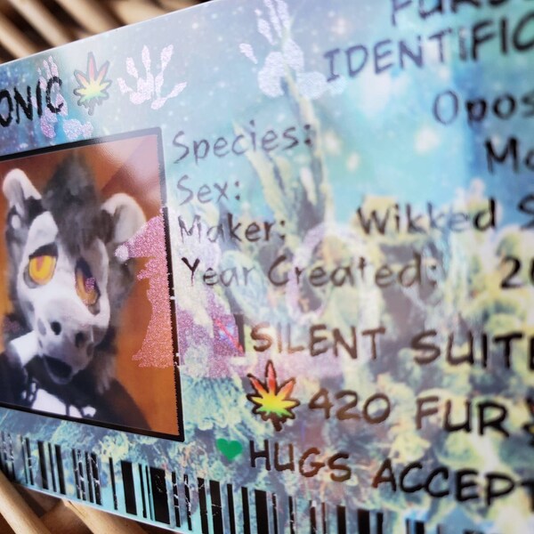 Color Portfolio Book - TUFTEX, Sempertex, Kalisan, Gemar Balloons - Etsy