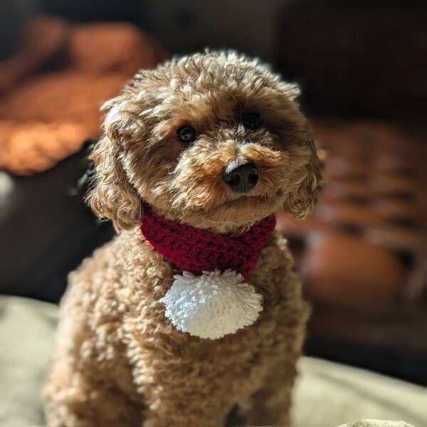 Christmas Dog Scarf With Pompom - Available in 4 Colour Schemes - Santa ...