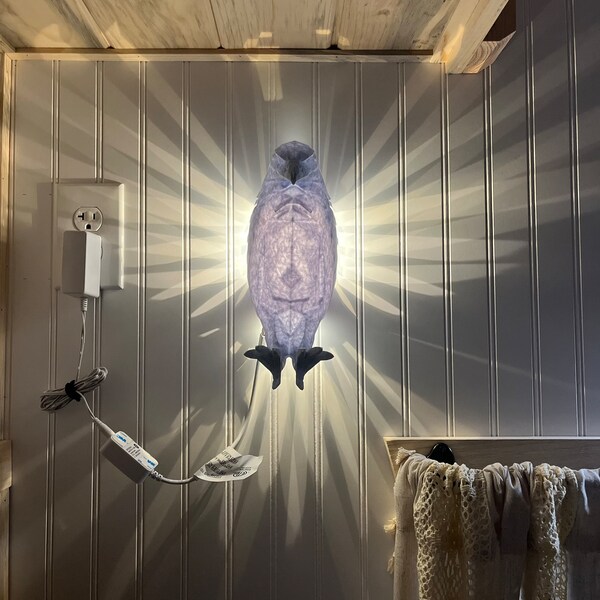 Pool Solar Light Clamp for Intex Bestway Summer Waves Pool Coleman Pool ...