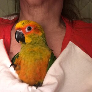 Rare Edith Cockcroft Hand Painted Artisan Plate - Etsy