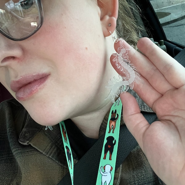 Centipede - Scolopendra - Centipedes - Invertebrates - Arthropod ...