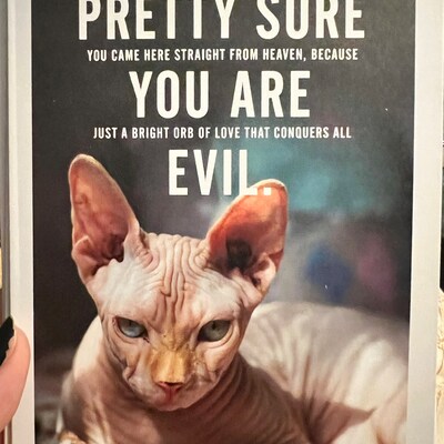 Great Literary Insults Wall Chart Poster Gift for Book Lovers and ...