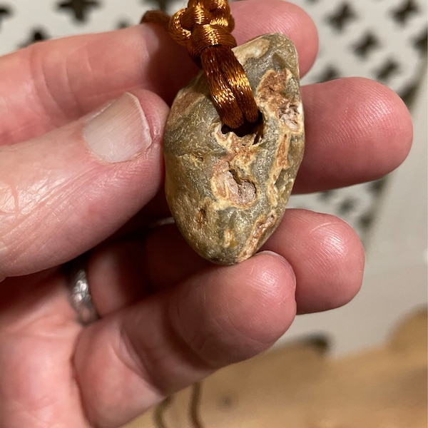 OOAK Nautical-themed Light Pull Handle From Beach Shell, in a Sparkling ...