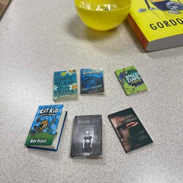 Mini Brands BOOKS - Etsy