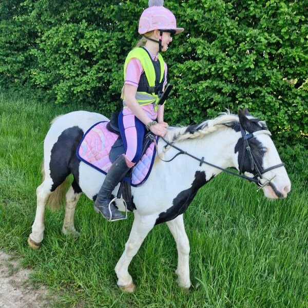 Equestrian Horse Riding Set With Horse Design Full Matchy Matchy Can't ...