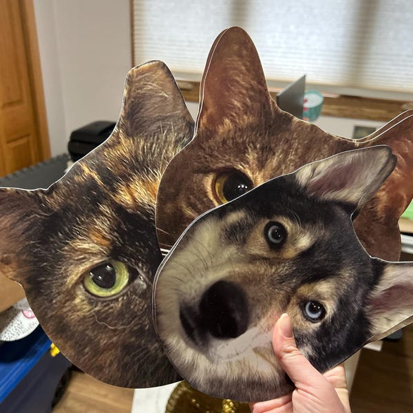 Custom Cut Out Foam Sign Party Foam Sign for Birthday Event Decoration ...