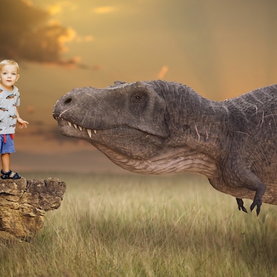 Dinosaur Scene Digital Premade Backdrop Dinosaur Backdrop - Etsy