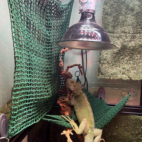 Reptile Climbable Wall | Climbing Wall for Reptiles | Reptile Climbable ...