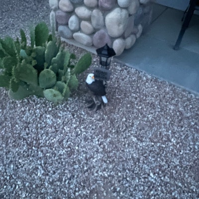 Solar Moose Garden Statue Moose Solar Lantern Figurine Moose - Etsy