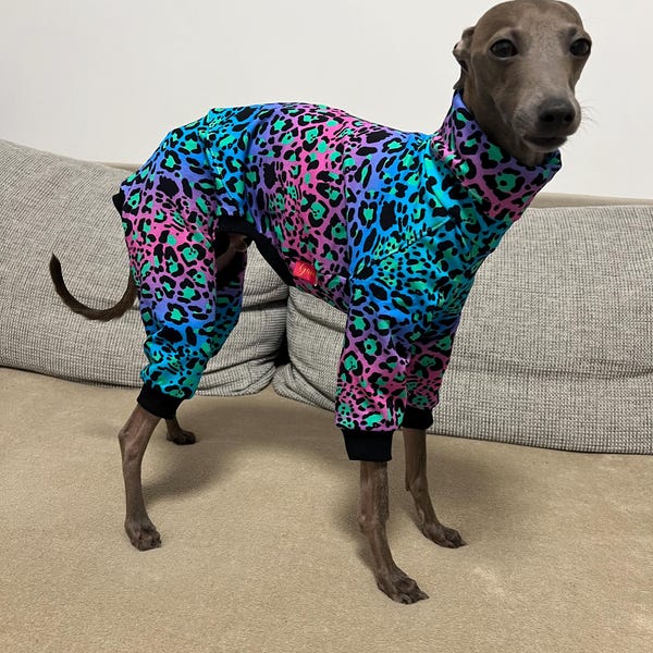 CUSTOM Italian Greyhound BEACHSUIT / Romper / Jumpsuit / Swumsuit - Etsy