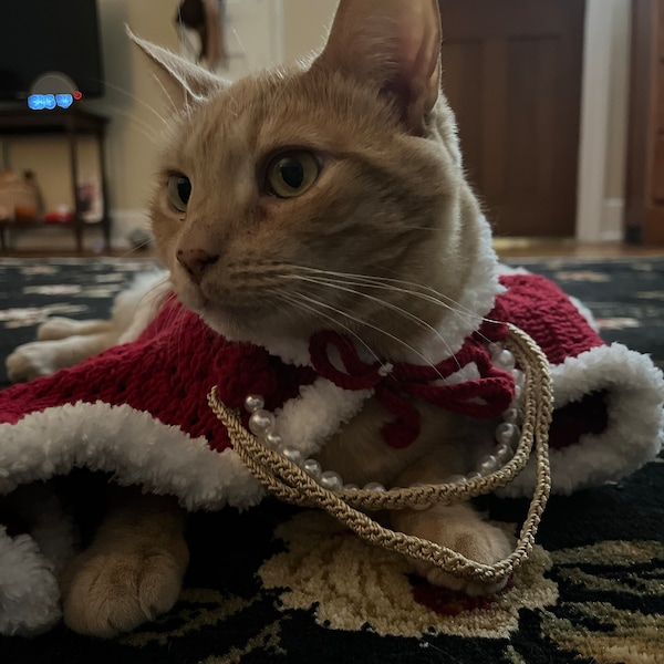 Royal Prince Nobility Clothes for Cats, Prince Crown for Cats, Handmade ...