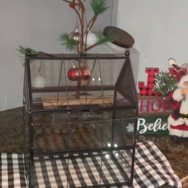 Watertight Curved Glass Terrarium With Grow Lamp for Tropical Bog ...