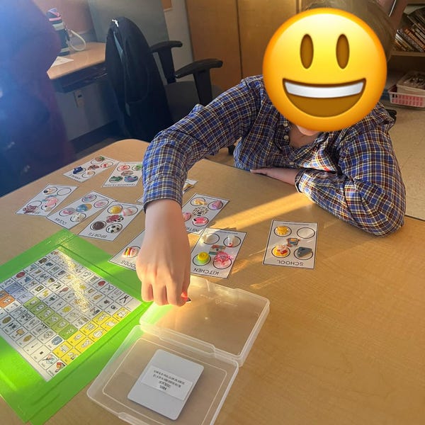 Insect Sorting Activity Worksheet - Bug Sorting - PRINT & PLAY ...