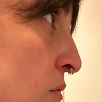 Split Triple Septum Ring, Nose Ring, Hoop Earring, Conch Hoop, 18, 16ga ...