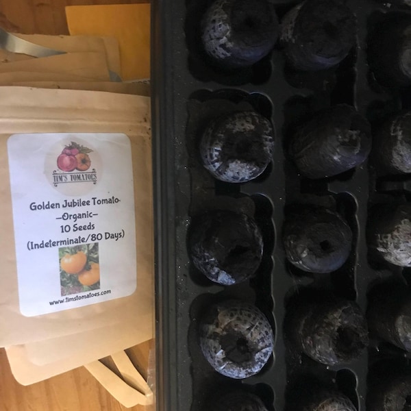 Amber Baron, Tomato Seeds From Kazakhstan Variety - Etsy
