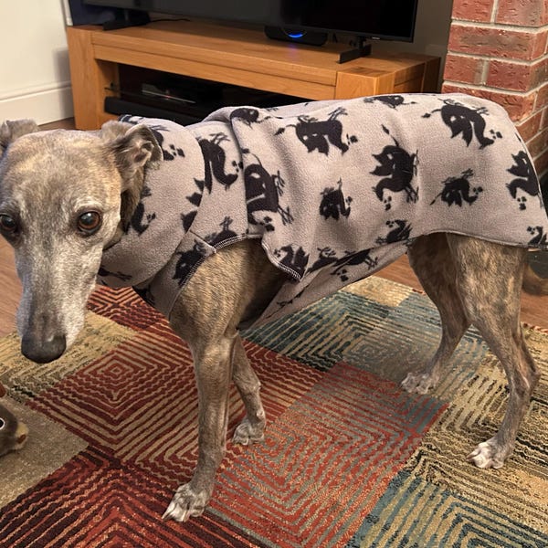 Pile Sweater. Pdf Sewing Pattern for Whippet, Greyhound and Other Big ...