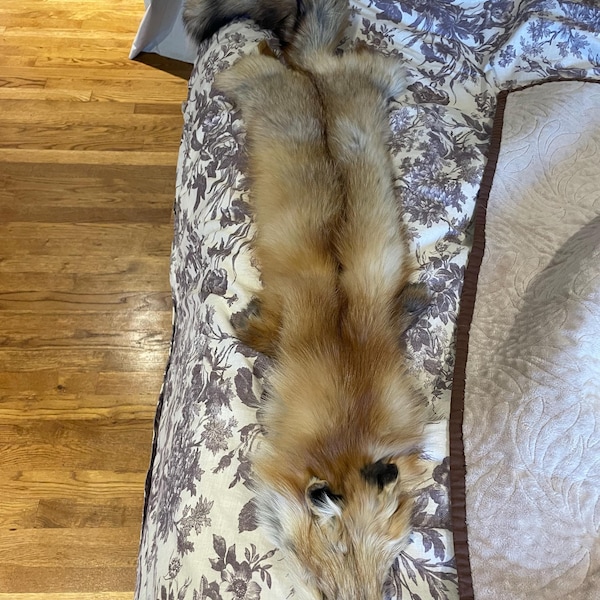Tanned Western Red Fox Professional Soft Tanned Silky Fur - Etsy