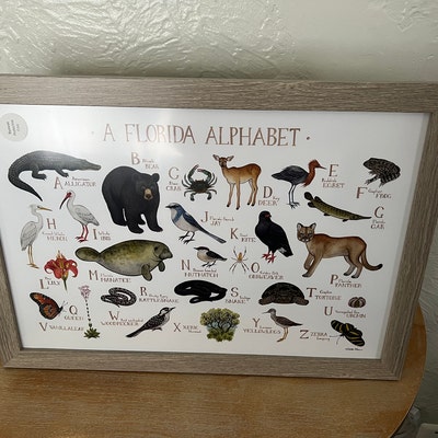 Florida Nature Alphabet Chart Art Print / A Florida ABC Nature Poster ...