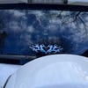Car Tramp Stamp Vinyl Decal | Rearview Mirror Window Bumper Sticker ...