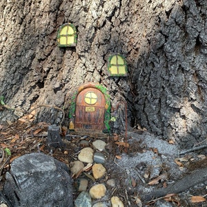 Fairy Door and Windows for Trees Glow in the Dark Outdoor Decor Fairy ...