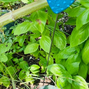 Eye Art Sculpture Garden Stake Eye Doctor Gift Potted Plant - Etsy