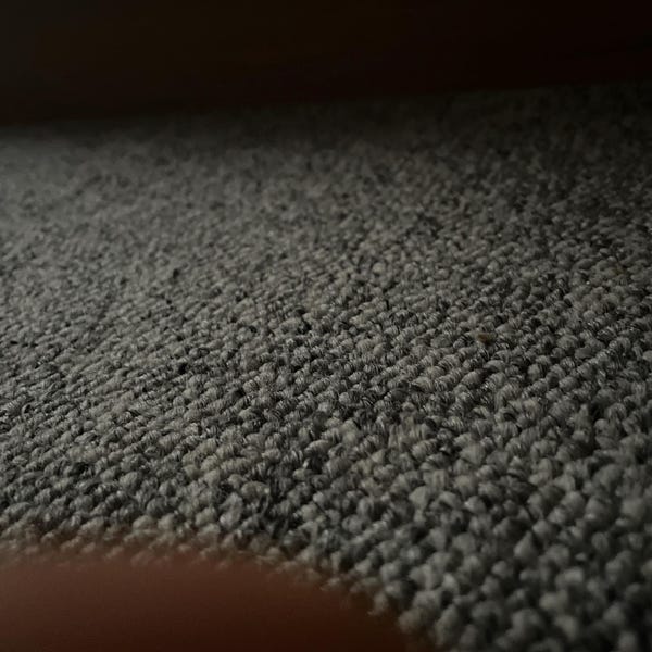 Eko Edible Clay - Etsy