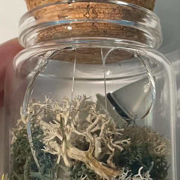 Mini Ghosts in a Jar, Personalized Ghost in Bottle, Ghost in Glass Jar ...