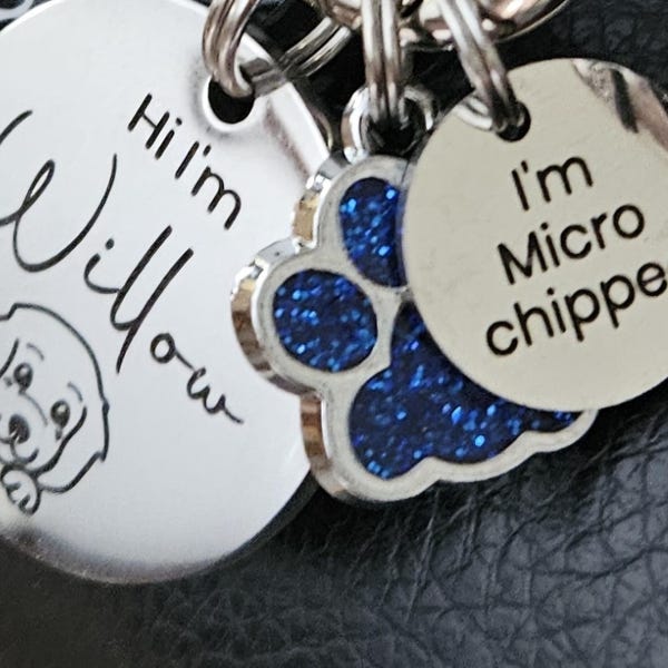 Lightweight Cuban Link Dog Necklace for Dog, Chain Dog Collar Gold ...