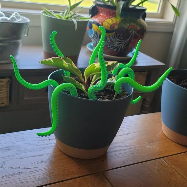 Octopus Tentacles Planter Decorations - Set of 8. House Plant Decor - Etsy
