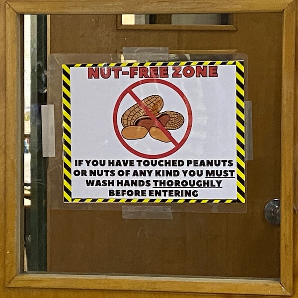 Nut Free Zone Poster Allergy Awareness Sign for Classrooms, Daycares ...