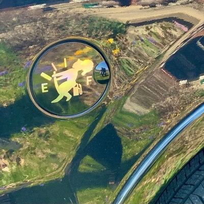 I Brake for Critters I Brake for Animals People Ehh Car Decals for ...