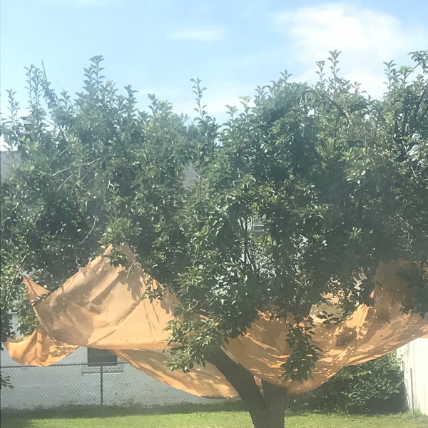 10' X 10' Fruit Tree Catcher for Better Home Gardening & Growers ...