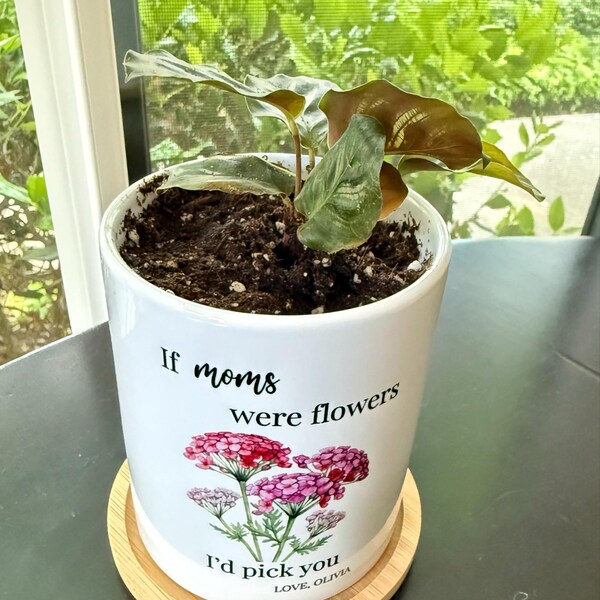 Happy Retirement Gifts for Women Coworker, Succulent Plant Pot ...