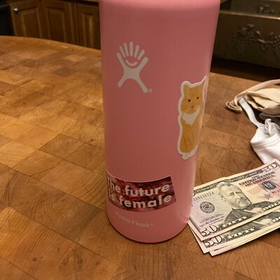 Feminist Vinyl Sticker the Future is Female Girl Power Pink Illustrated ...