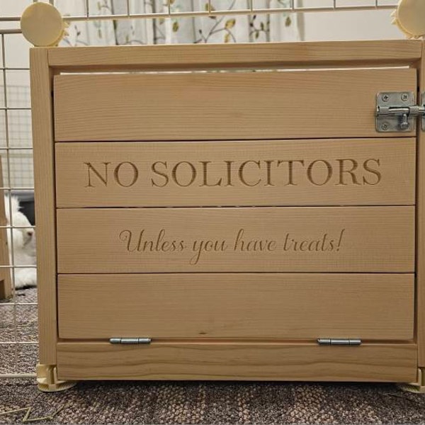 Guinea Pig Name Tag, Guinea Pig Accessories, Pet Tag, Guinea Pig ...