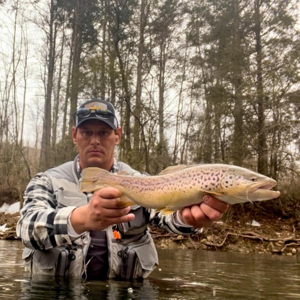 Mercury Black Zebra Midge Variant (6 Pack) - Etsy