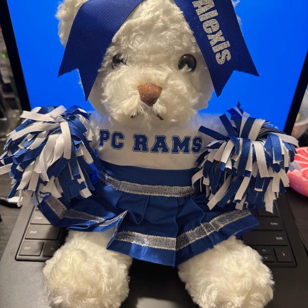 Graduation Teddy Bear With Custom School Badge Degree Title, Plush Bear ...