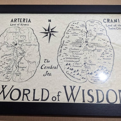 Brain Hand Drawn Map - Etsy
