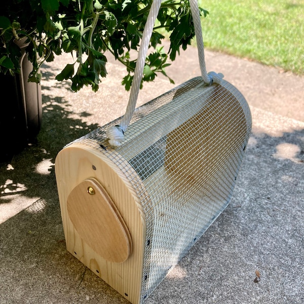 Wooden Bug and Critter Cage - Etsy