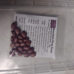 Aleppo, Hot Pepper, Aka Halaby Pepper, Heirloom Garden Seeds Open ...