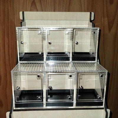 Deluxe Isopod Starter Kit Isopod Terrarium Kit for Isopods With Isopod ...