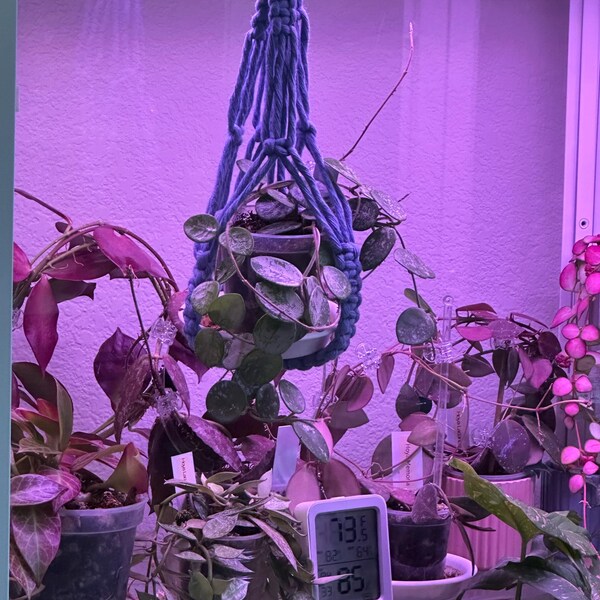 Boho Farmhouse Macrame Mug Rug, Coffee Cup Coaster, Autumn Boho Home ...