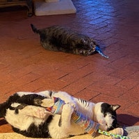 Thread Rack PDF Pattern & Plans to BUILD Your OWN Free Standing -6 Feet ...